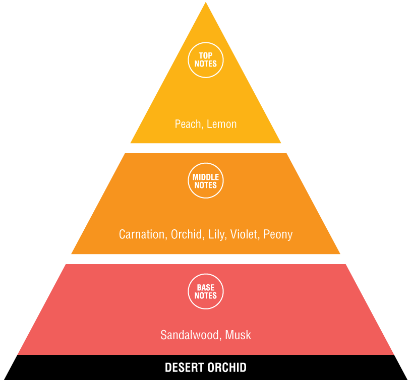 fragrance-pyramid-desert-orchid - Aire-Master